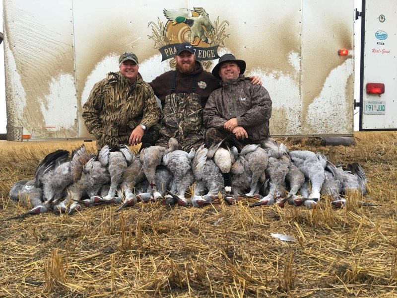 Banded Ducks & Geese Information | Guided Hunts With PEO