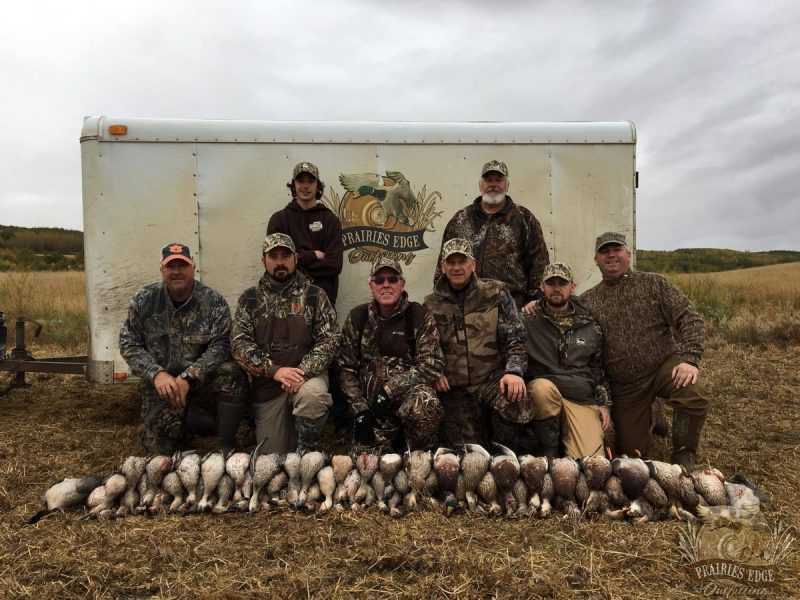 Banded Ducks & Geese Information | Guided Hunts With PEO