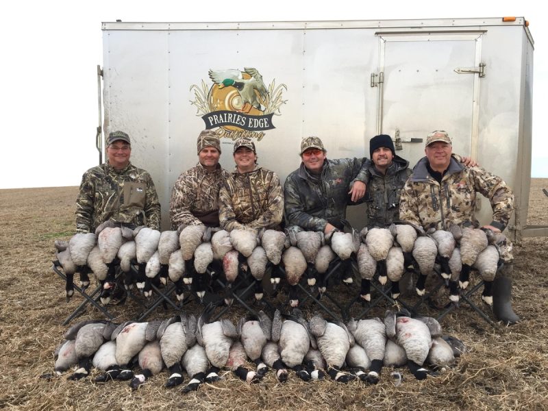 Saskatchewan Goose Outfitter, Hunt Canada Geese With PEO